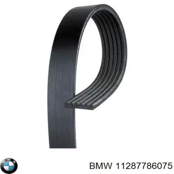 11287786075 BMW Ремень агрегатов приводной
