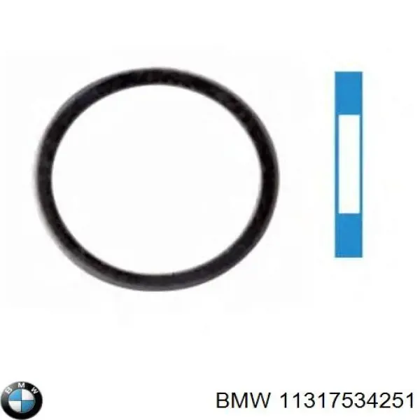 11317534251 BMW Прокладка натяжителя цепи ГРМ