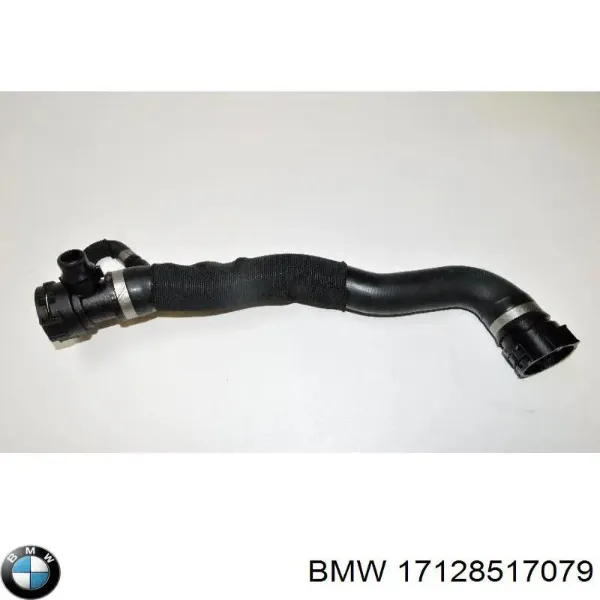17128517079 BMW сравнить цены на Автопро