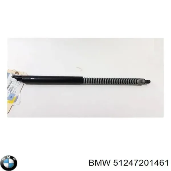 51247042104 BMW Амортизатор крышки багажника (двери 3/5-й задней)
