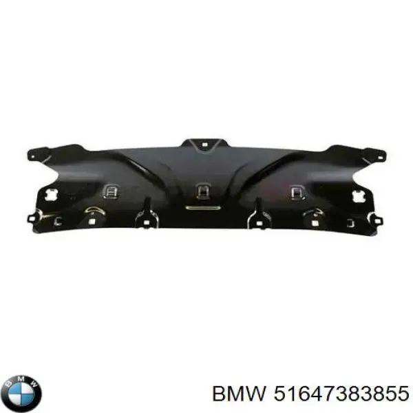 51647383855 BMW Накладка передней панели (суппорта радиатора) верхняя