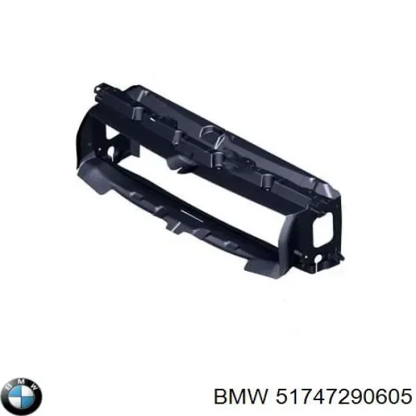 51747290605 BMW Воздуховод (дефлектор) радиатора