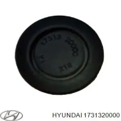 1731320000 Hyundai/Kia Заглушка днища кузова