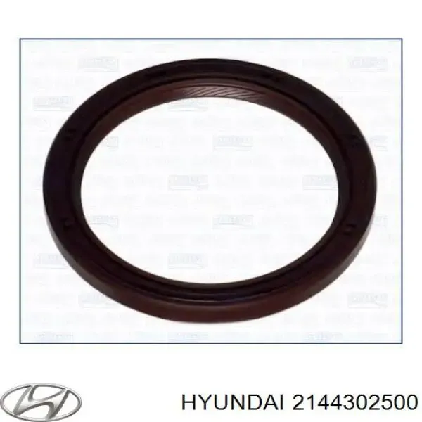 2144302500 Hyundai/Kia Сальник коленвала двигателя задний