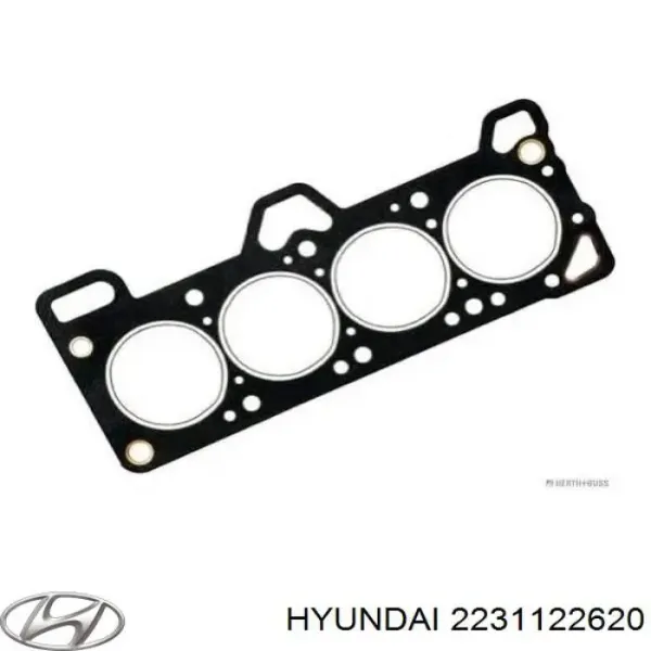 2231122620 Hyundai/Kia Прокладка головки блока цилиндров (ГБЦ)