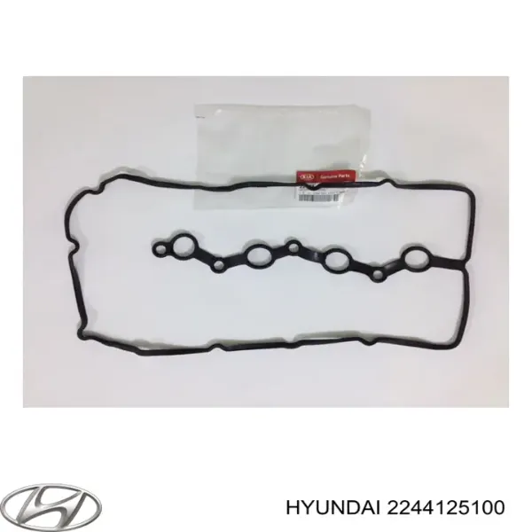 2244125100 Hyundai/Kia Прокладка клапанной крышки двигателя