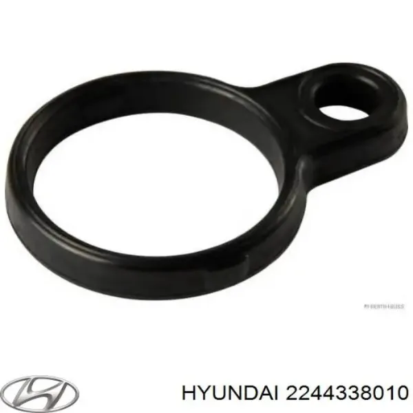 2244338010 Hyundai/Kia Кольцо уплотнительное свечного колодца