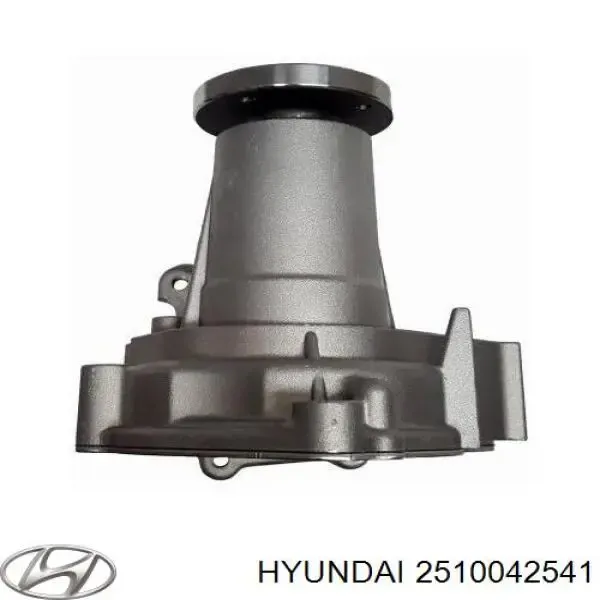 2510042541 Hyundai/Kia помпа водяная (насос охлаждения)