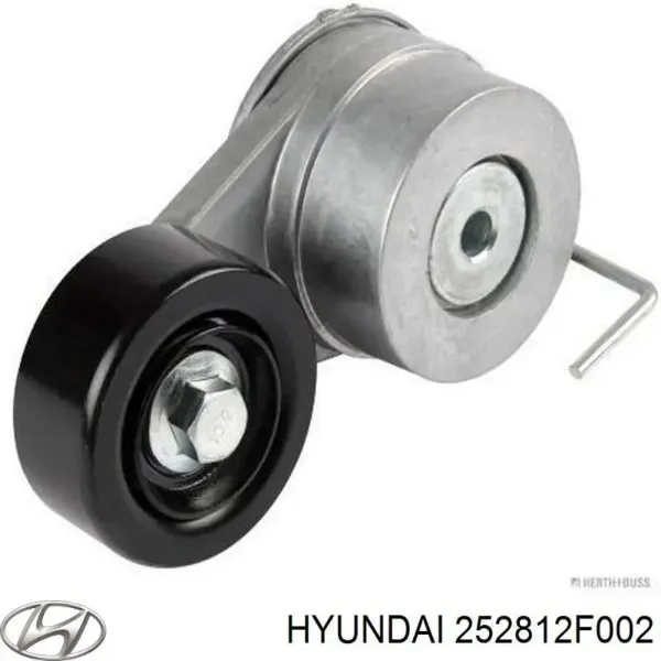252812F002 Hyundai/Kia Натяжитель приводного ремня
