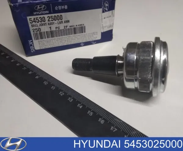 5453025000 Hyundai/Kia Шаровая опора нижняя
