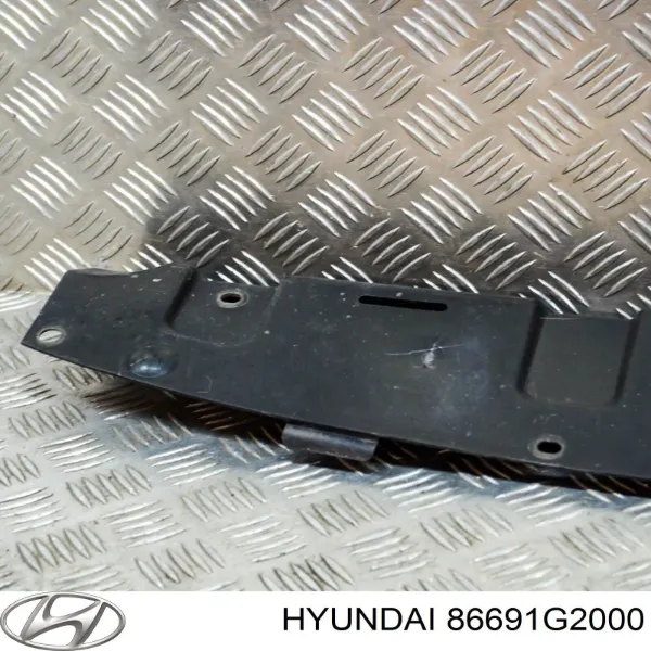 86691G2000 Hyundai/Kia Защита бампера заднего