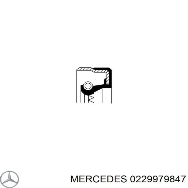 0229979847 Mercedes | Сальник полуоси заднего моста внутренний 022 997 ...