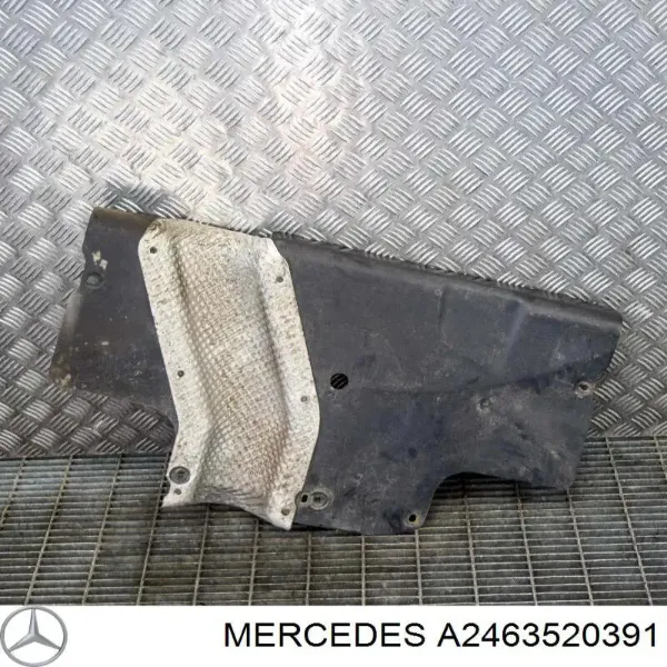 A2463520391 Mercedes | купить на Avto.pro