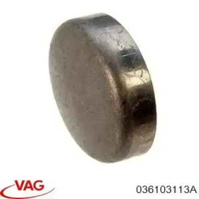 036103113A VAG Заглушка ГБЦ/блока цилиндров