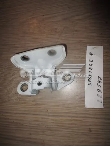 79410D8000 Hyundai/Kia Петля двери задней левой